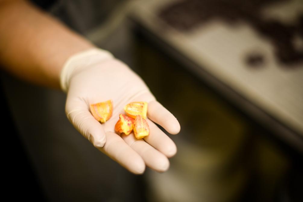 Au Palais des plaisirs, une confiserie ardennaise incontournable ...