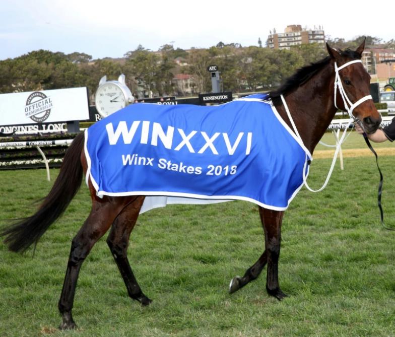 Un journal proclame un cheval "Australien de l'année"