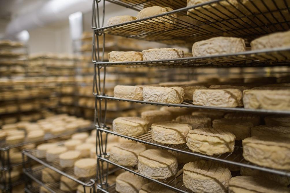 La fromagerie Lincet : une qualité centenaire, un respect exemplaire