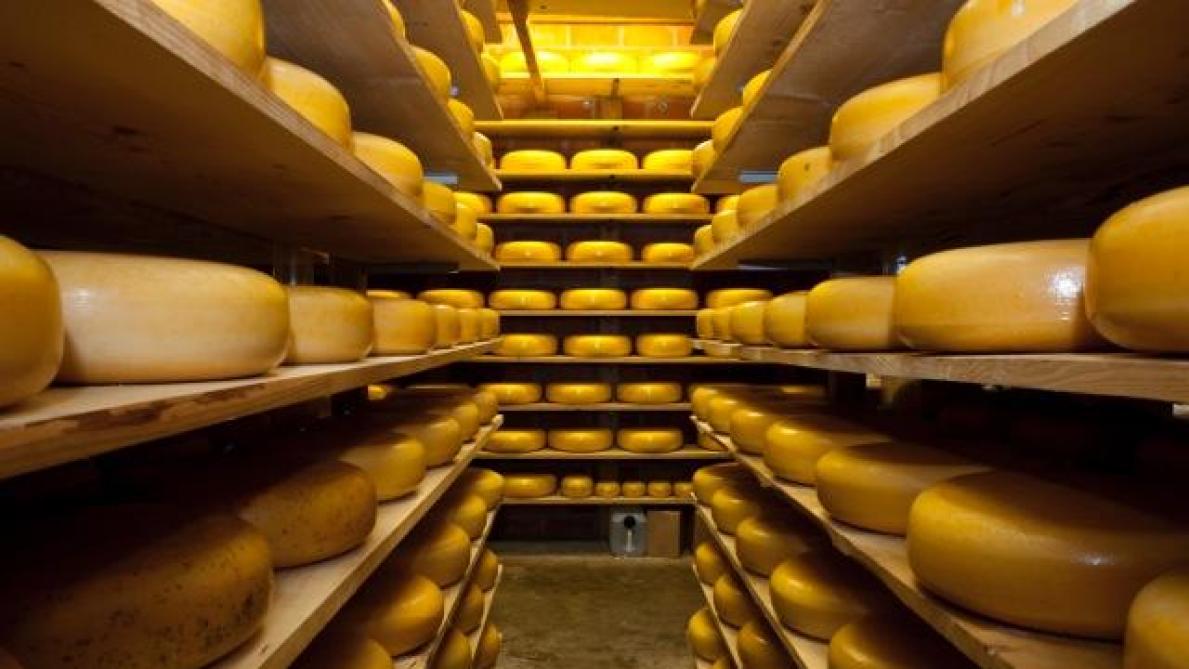 Vidéo. A Tribe Called Quest, Led Zeppelin ou Mozart, un fromager affine ...