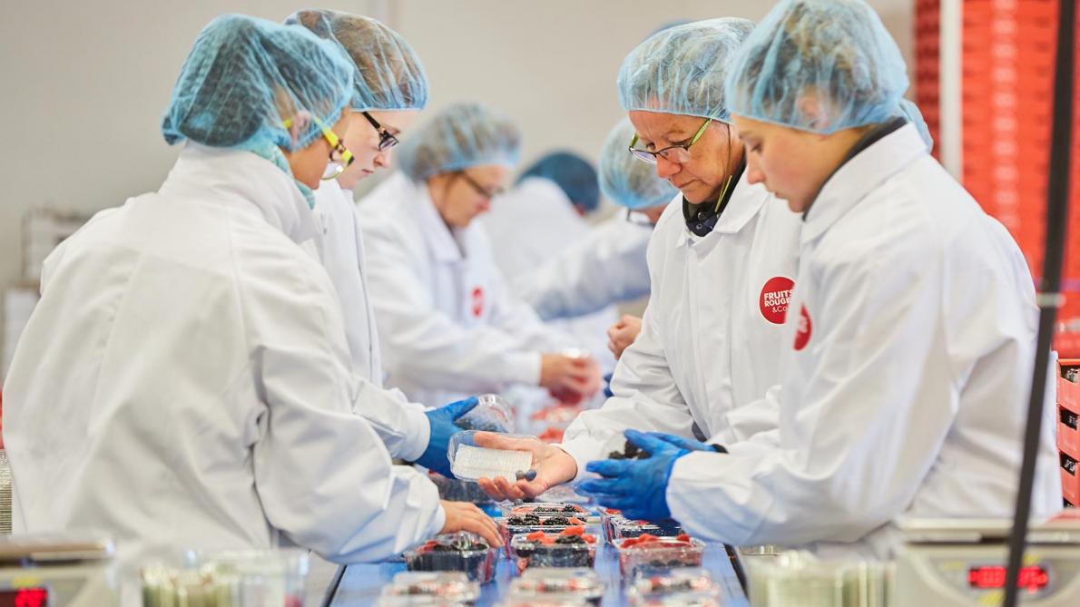 Laon: Fruits rouges and co veut embaucher une dizaine de salariés