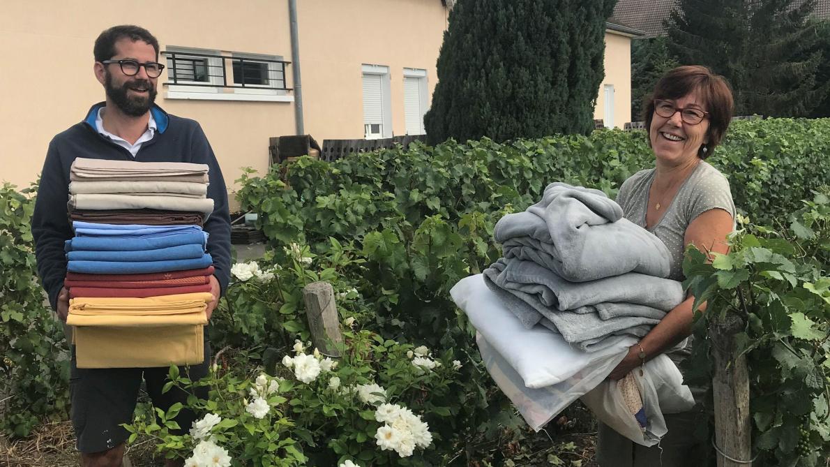 L’accueil des vendangeurs se prépare en Champagne