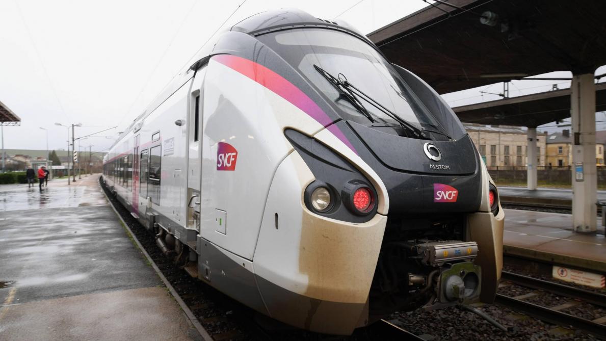 TER : l’ouverture à la concurrence dégrade le réseau estime la Cour des ...