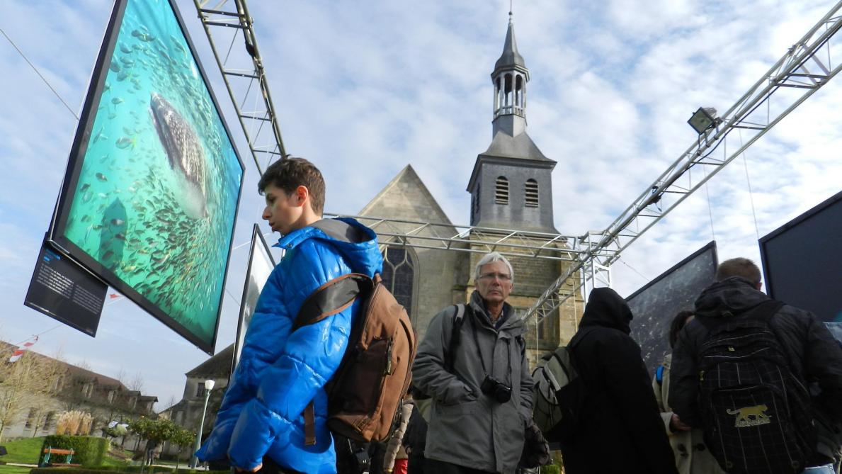 Le festival photo de Montier-en-Der se réinvente à partir de ce jeudi