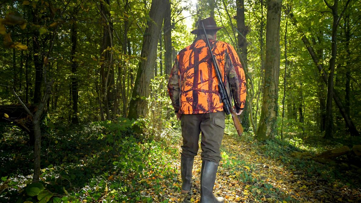La saison de chasse prolongée de quinze jours dans les Ardennes