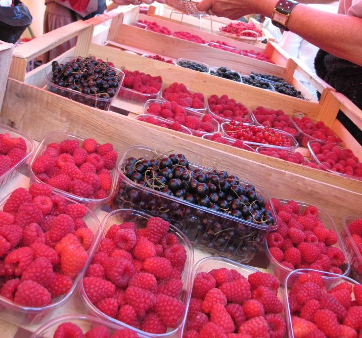 A Laon, Fruits rouges and co lauréat du plan de relance