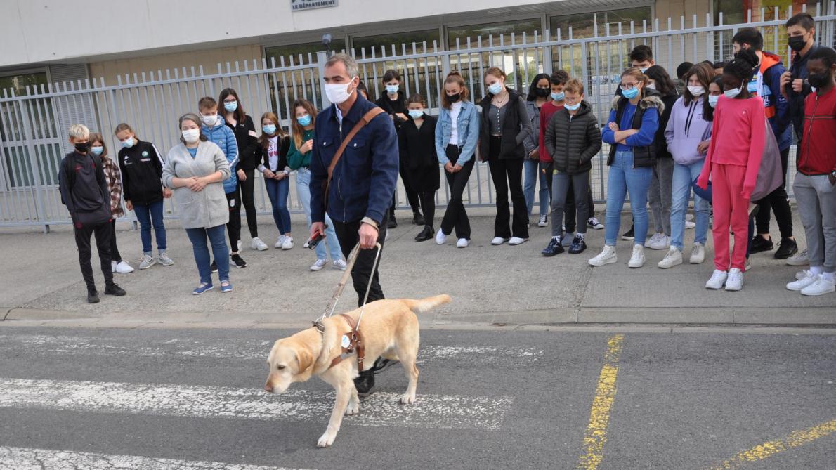 Un chien guide au collège Terres-Rouges d’Epernay pour sensibiliser les ...