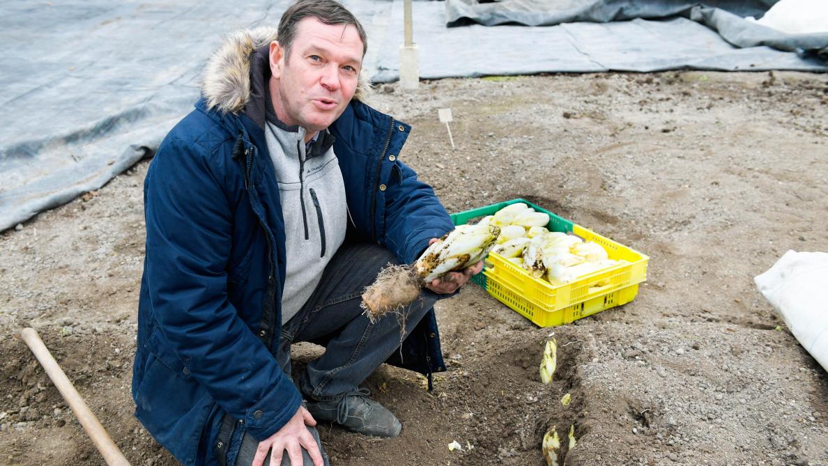Châlons Agglo s’engage pour développer le maraîchage