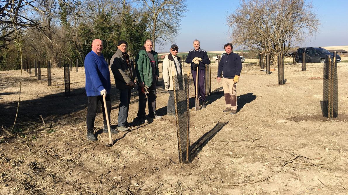 La commune de Magnicourt plante 100 arbres