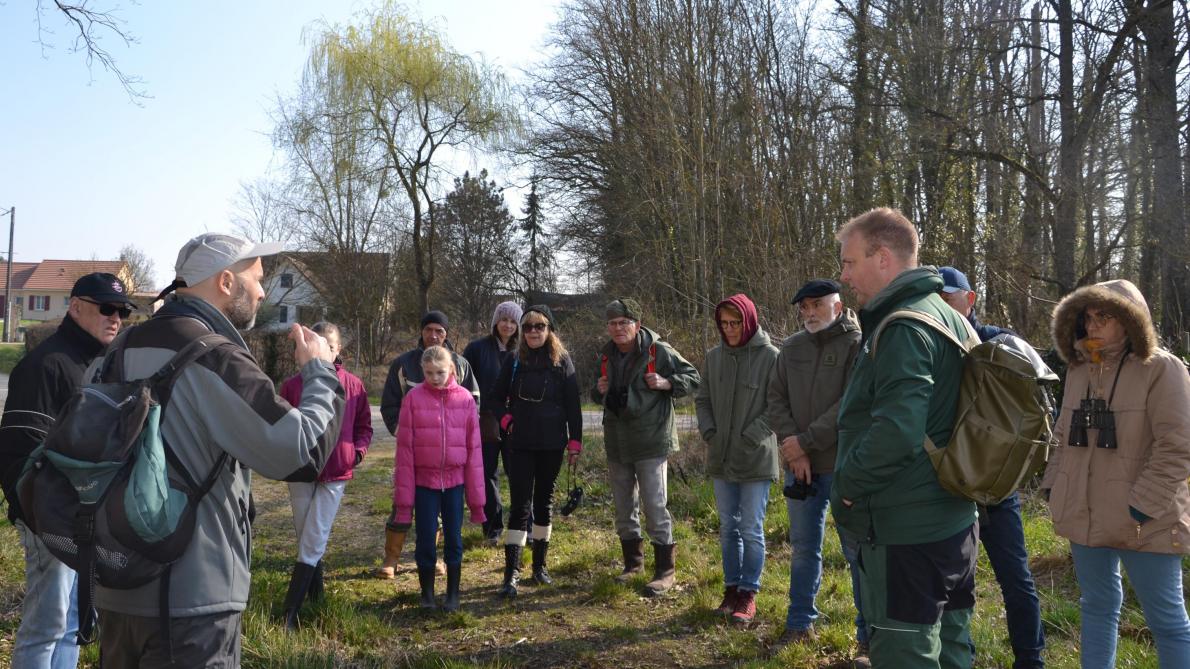 Brienne-le-Château : bois du Jard, une forêt de la champagne humide