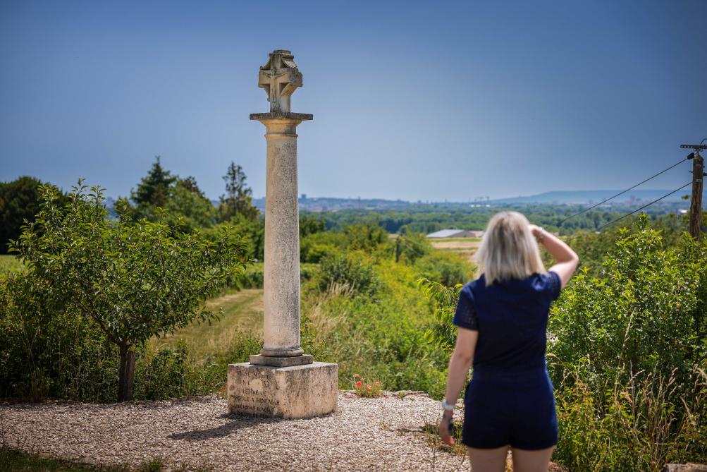 Le belvédère du clos de la vigne à Merfy