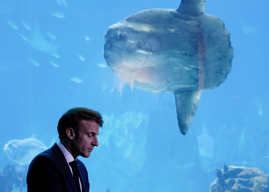 Macron à portée de requins: la photo qui a amusé les internautes