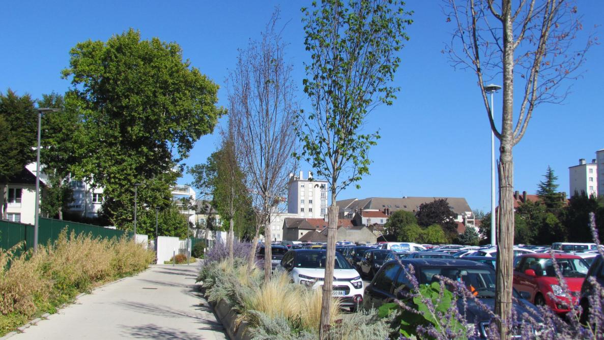 Espaces verts de Troyes : un stress hydrique patent