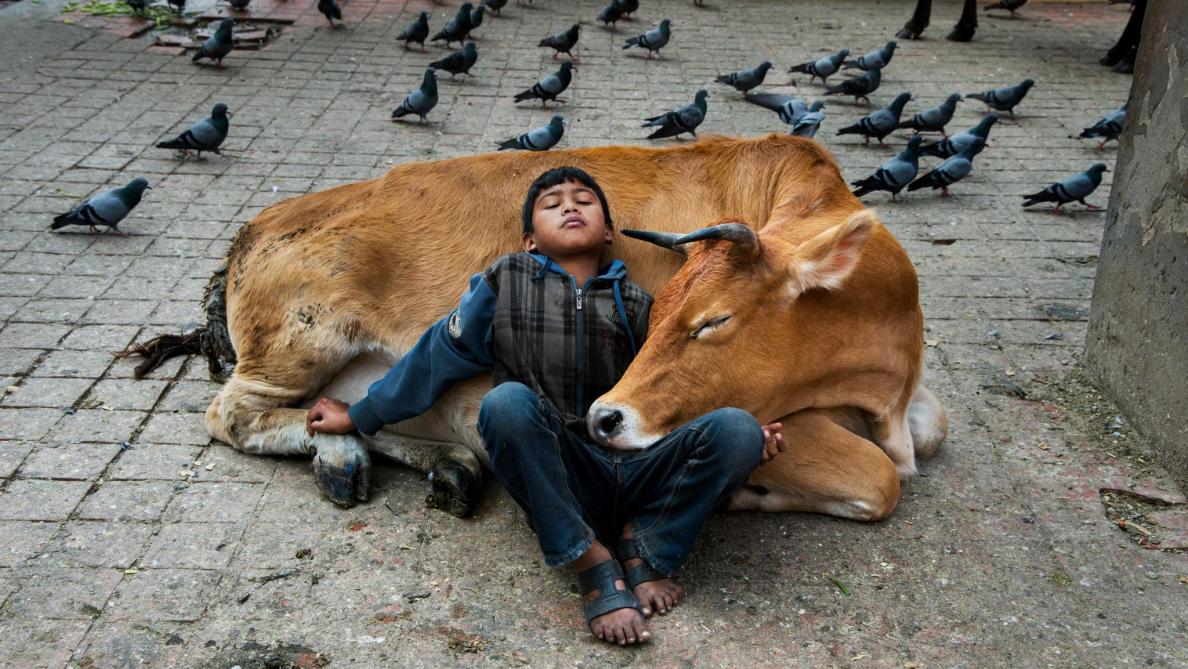 Le festival de photo de Montier-en-Der voit grand pour ses 25 ans