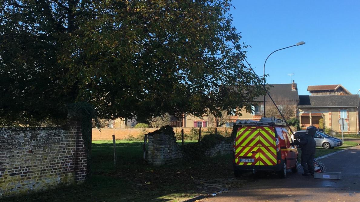 Crespy-le-Neuf : un nid de frelons neutralisé