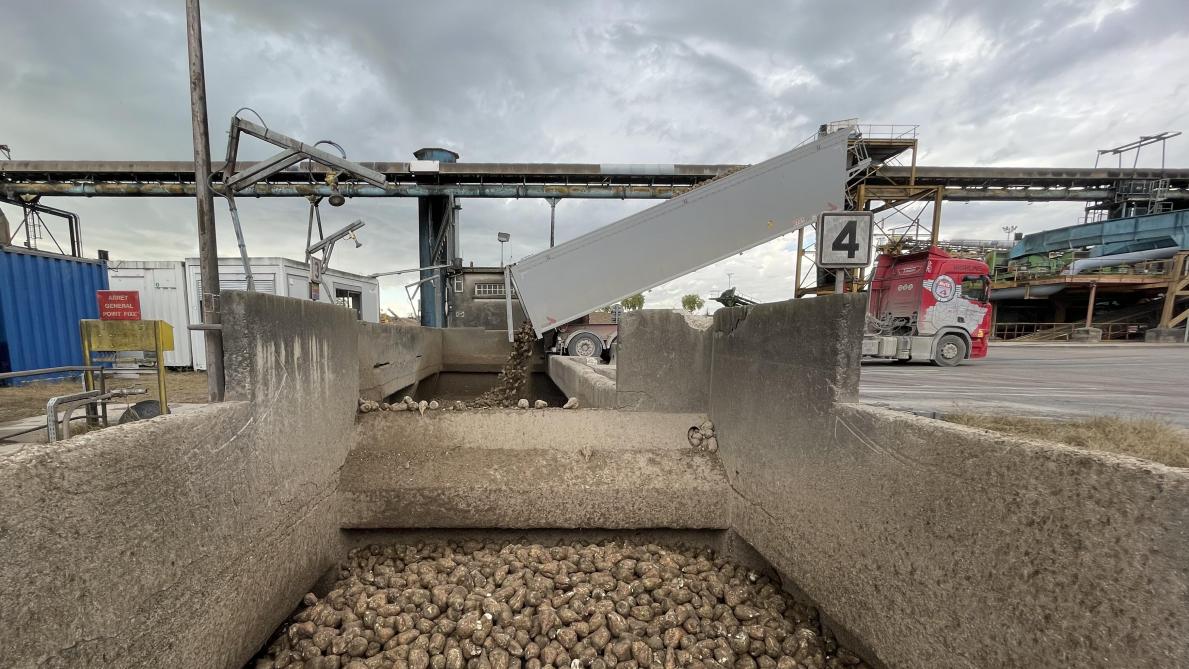 La sucrerie d’Arcis-sur-Aube met les gaz sur la pulpe