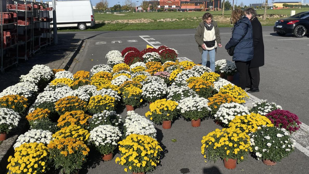 Devant les cimetières, les fleuristes n’ont pas chômé