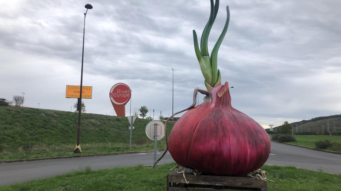 Un oignon géant offert à la ville de Givet