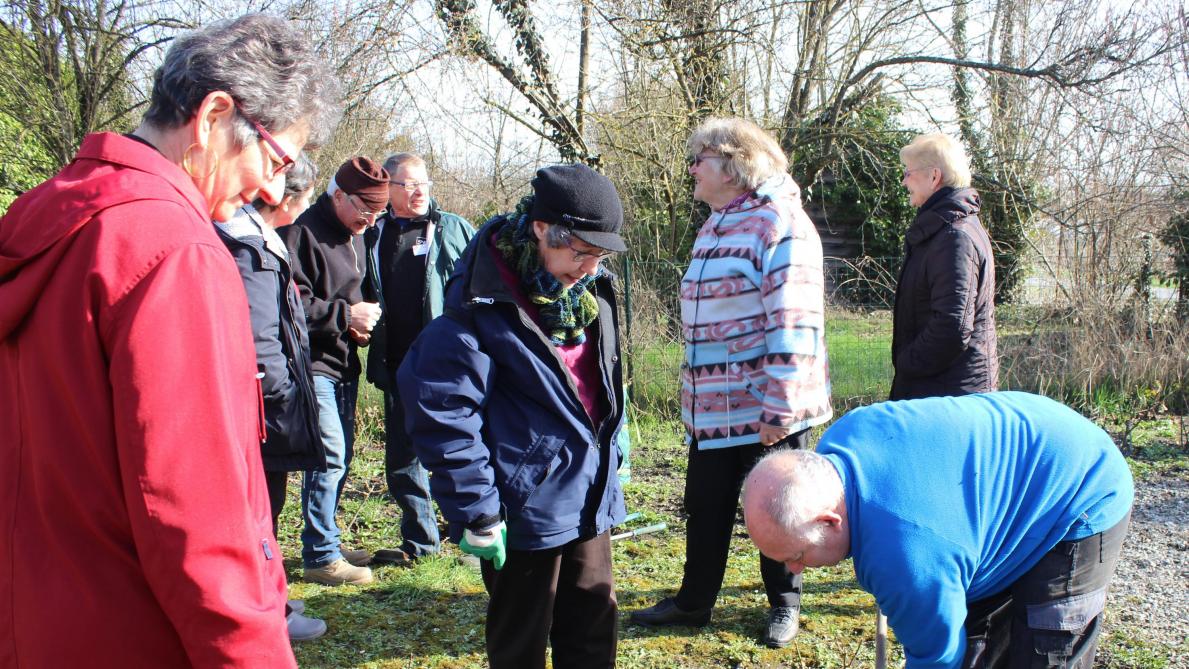 Une année sous le signe de la reprise pour les Amoureux des roses à ...