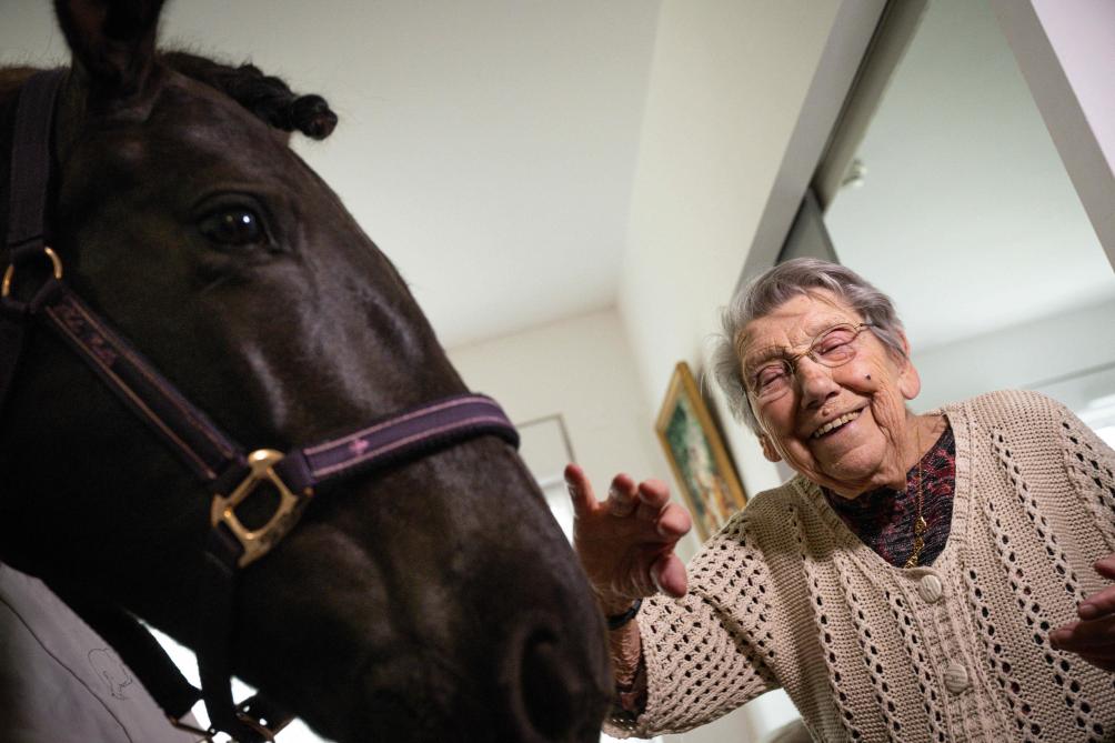 Doubs: Dounka, la jument qui murmure à l’oreille des seniors