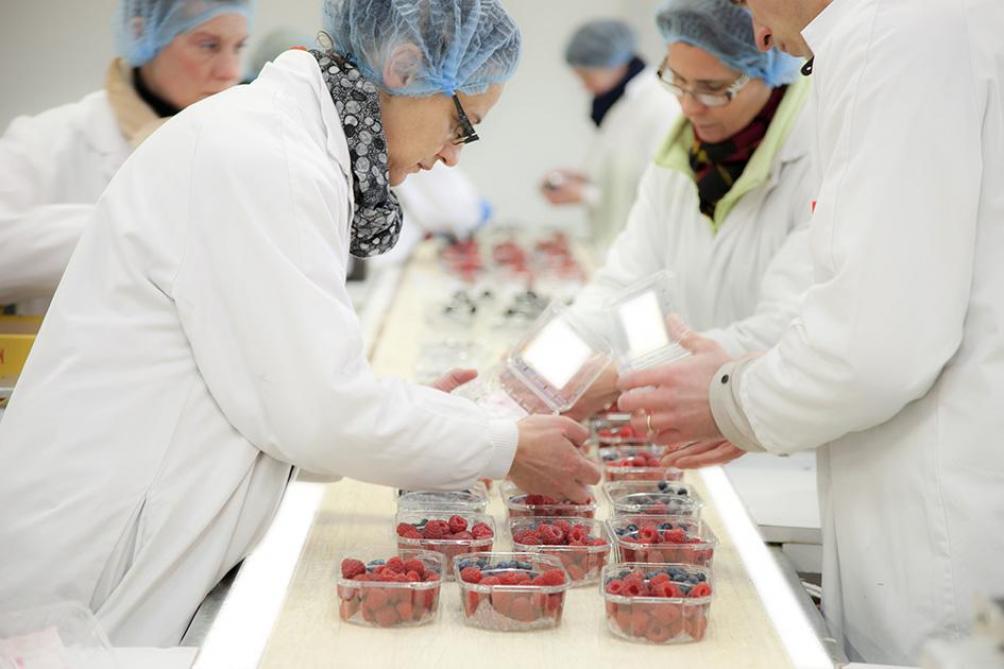 Un job dating organisé ce vendredi 14 avril chez Fruits rouges & co à Laon