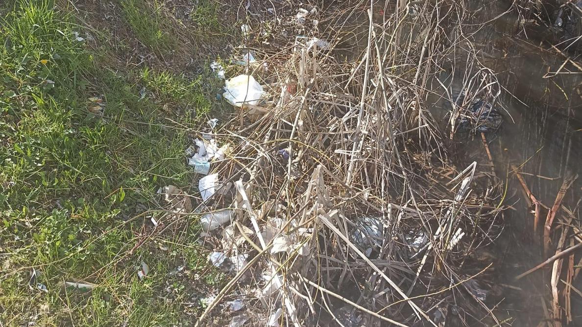 À côté de l’Intermarché de Sault-lès-Rethel, un dépotoir sauvage ...