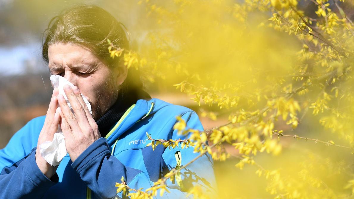 Allergie aux pollens : la Marne et les Ardennes en alerte rouge pour ...