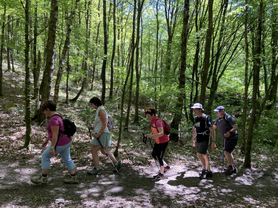 Un nouveau Topoguide pour découvrir les Ardennes à pied Un nouveau Topoguide pour découvrir les Ardennes à pied