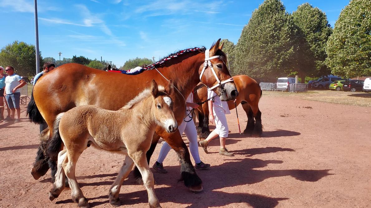 La foire artisanale de retour ce dimanche à Donchery