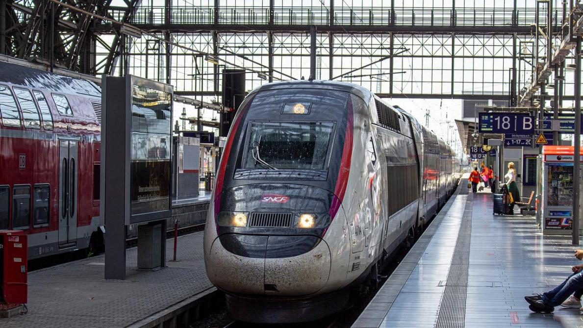 Chat écrasé par un TGV, la SNCF passe devant la justice ce lundi