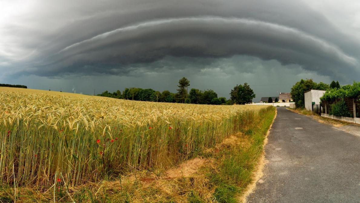 Découvrez l’arcus, cet impressionnant nuage d’orage, qui est passé dans le ciel du Grand Reims