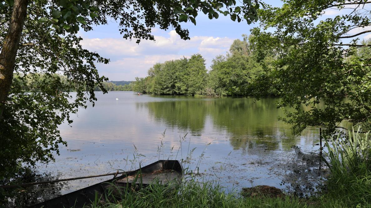 Les Ballastières des Ayvelles vendues aux chasseurs ardennais pour un ... Les Ballastières des Ayvelles vendues aux chasseurs ardennais pour un ...