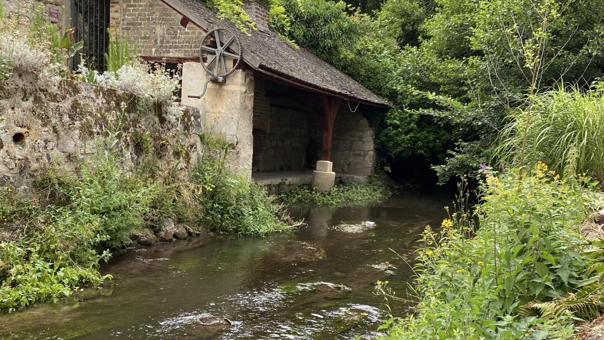Une pollution détectée dans un bras de la Vesle à Braine