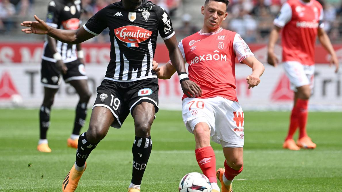 Football - Alexis Flips « va tout faire pour continuer à être titulaire ...