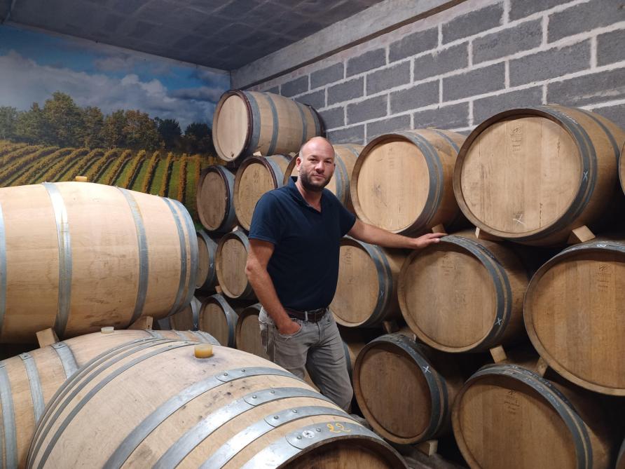 En Picardie, on produit du vin dans la Somme depuis 2019