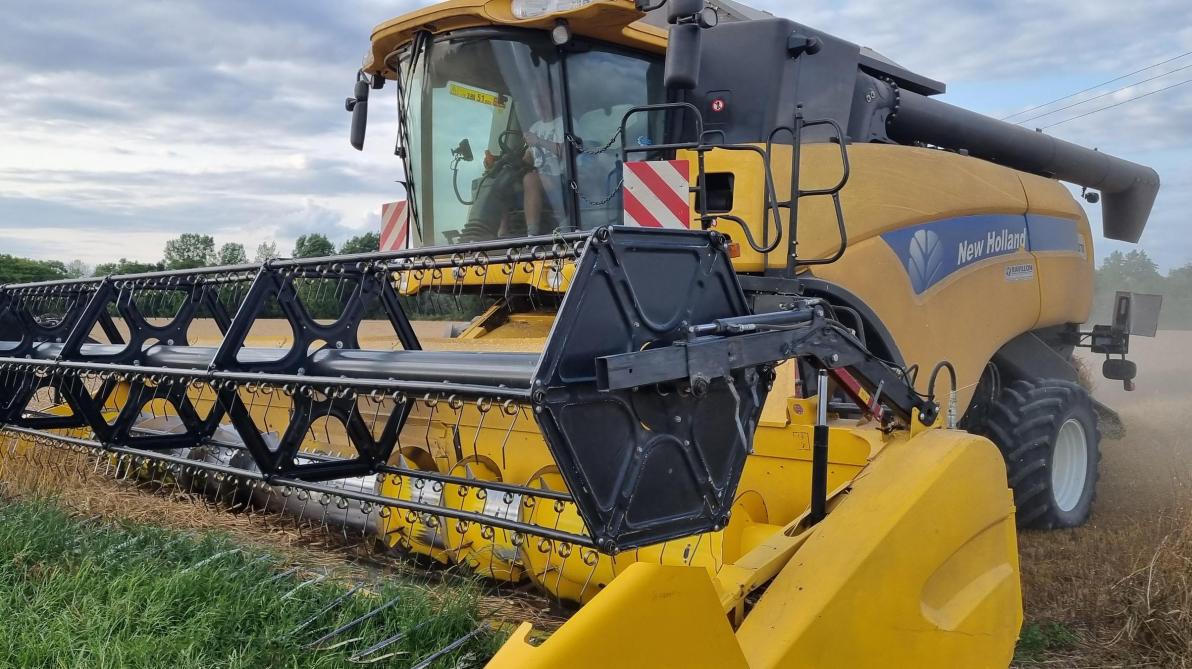 Une moisson moyenne pour les agriculteurs autour de Bouy près de ...