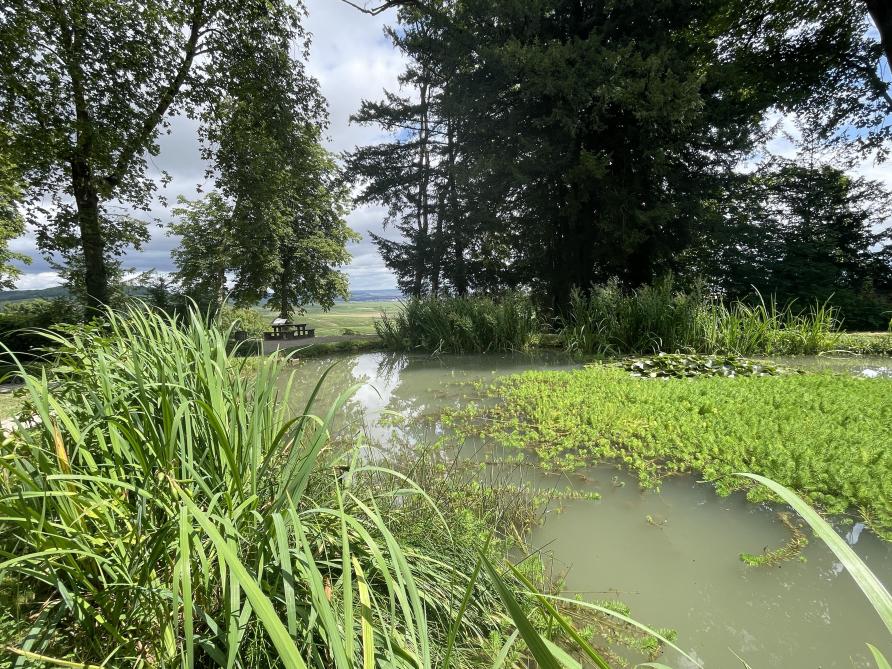 Sur la route du champagne, une halte nature au parc Vix à Avize