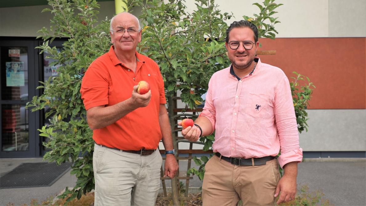 Le pressage, la dégustation et la vente de pommes menacés pour la ...