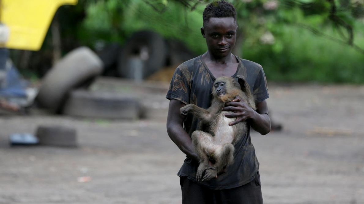 Cinq choses à savoir sur le Gabon