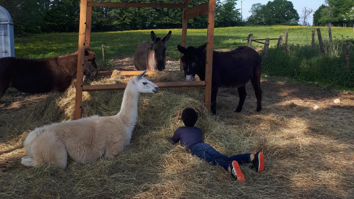 Piam-Piam accueille vos enfants à l’école des apprentis soigneurs