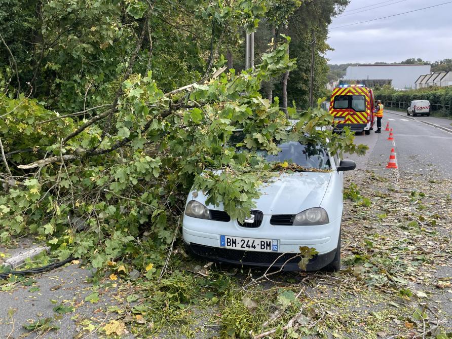 Un arbre tombe sur sa voiture à Pinon
