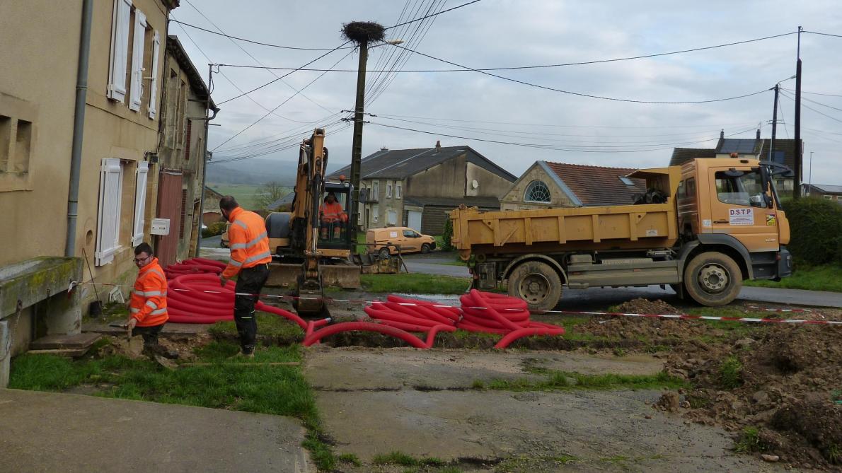 À Mairy, les cigognes sont protégées des lignes électriques