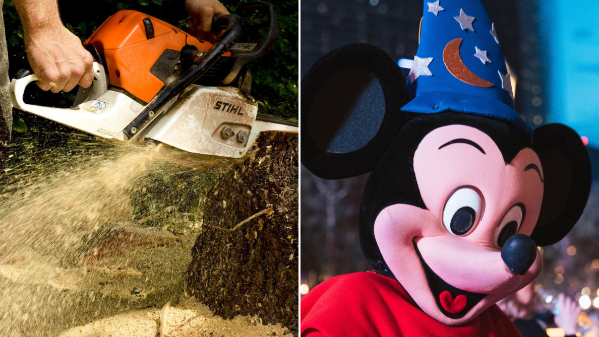 Tronçonneuses, Mickey Mouse… Les recherches insolites des Français sur ...