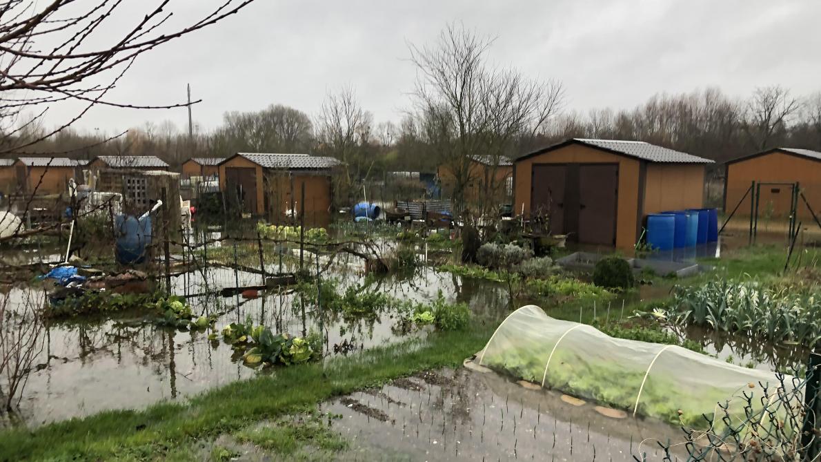 Romilly-sur-Seine : chlorophylle et les jardins familiaux sous l’eau