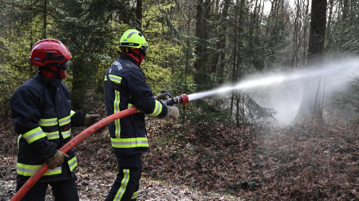 Les pompiers des Ardennes formés pour faire face à des incendies ...