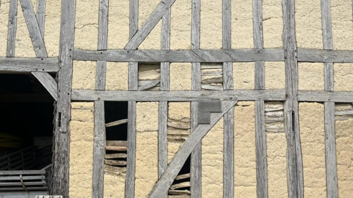 Ateliers de formation à la rénovation des murs en torchis