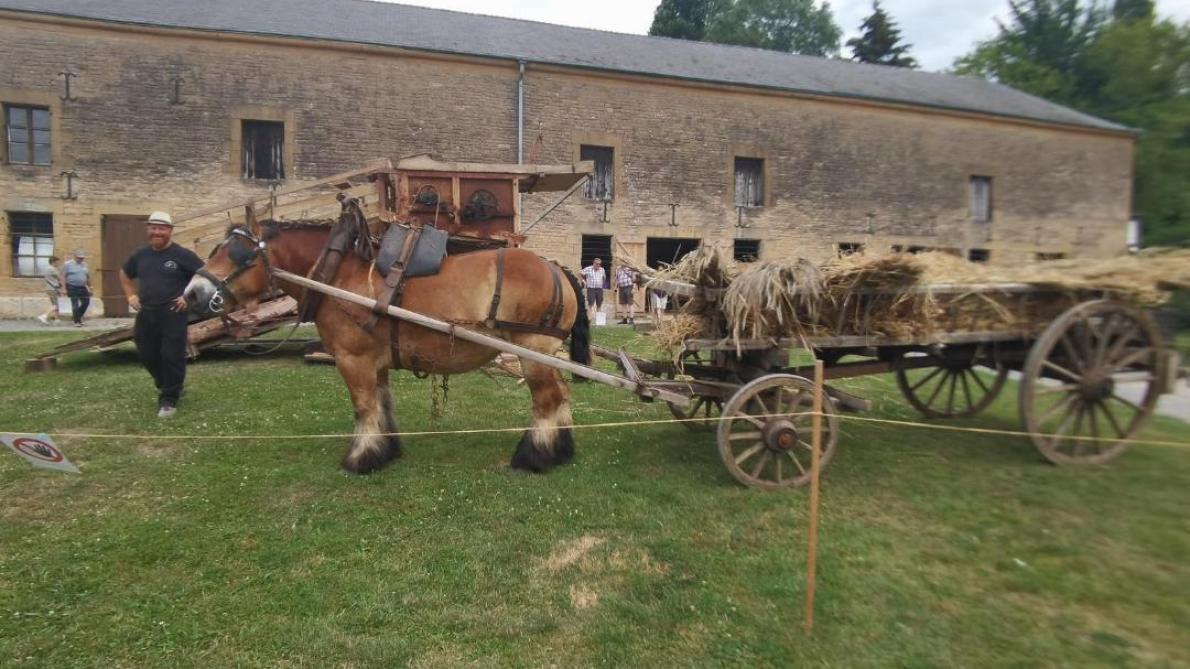 La fête paysanne de Launois-sur-Vence aura lieu le dimanche 16 juin 2024