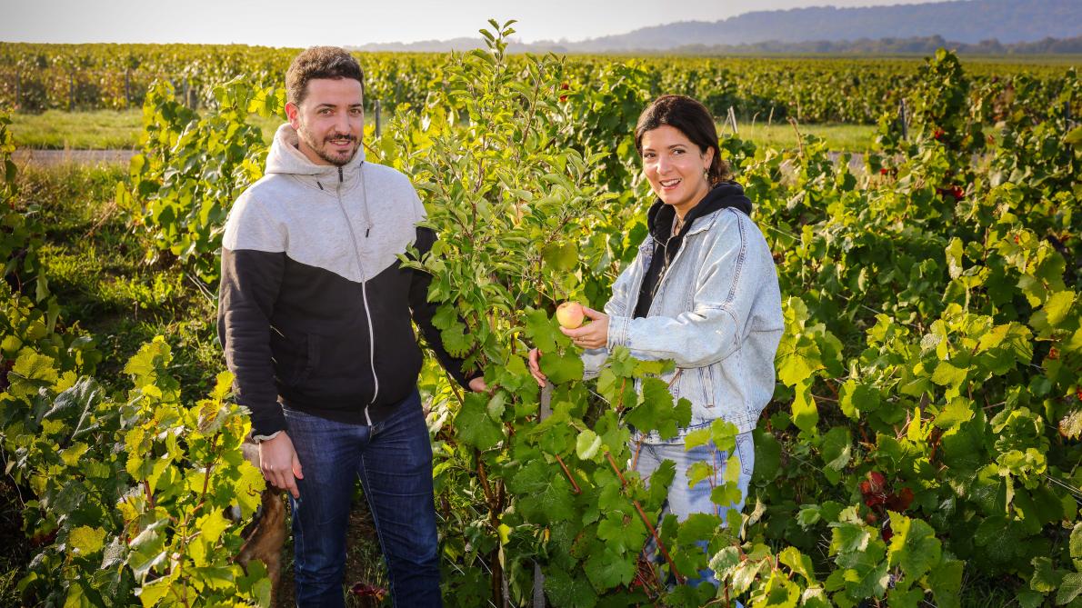 À Verzy, la marque de champagne Sacy sœur & frère est née