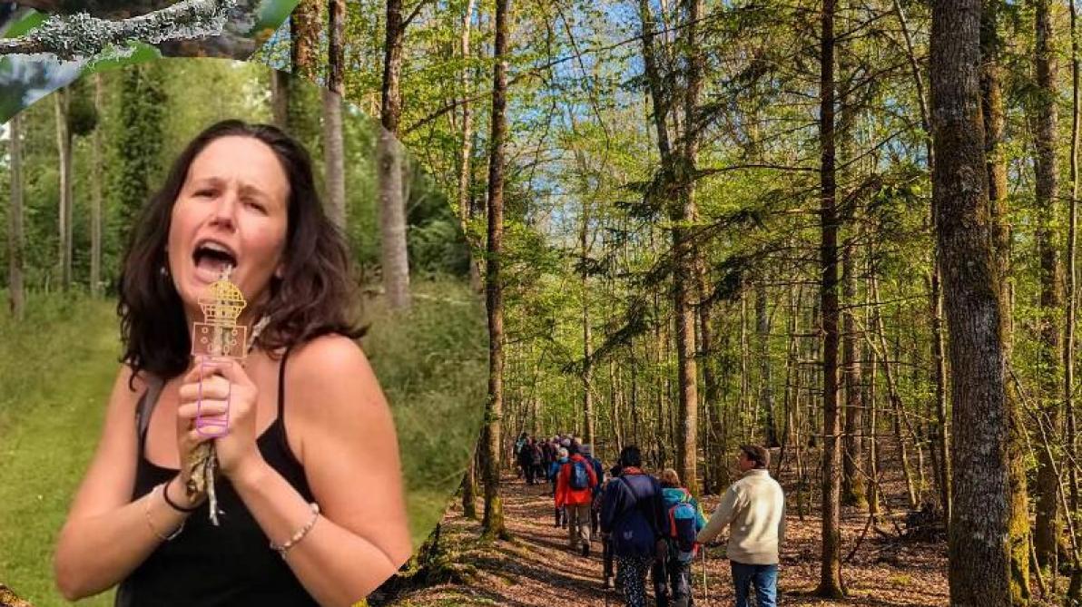 Randonner en chantant dans la forêt