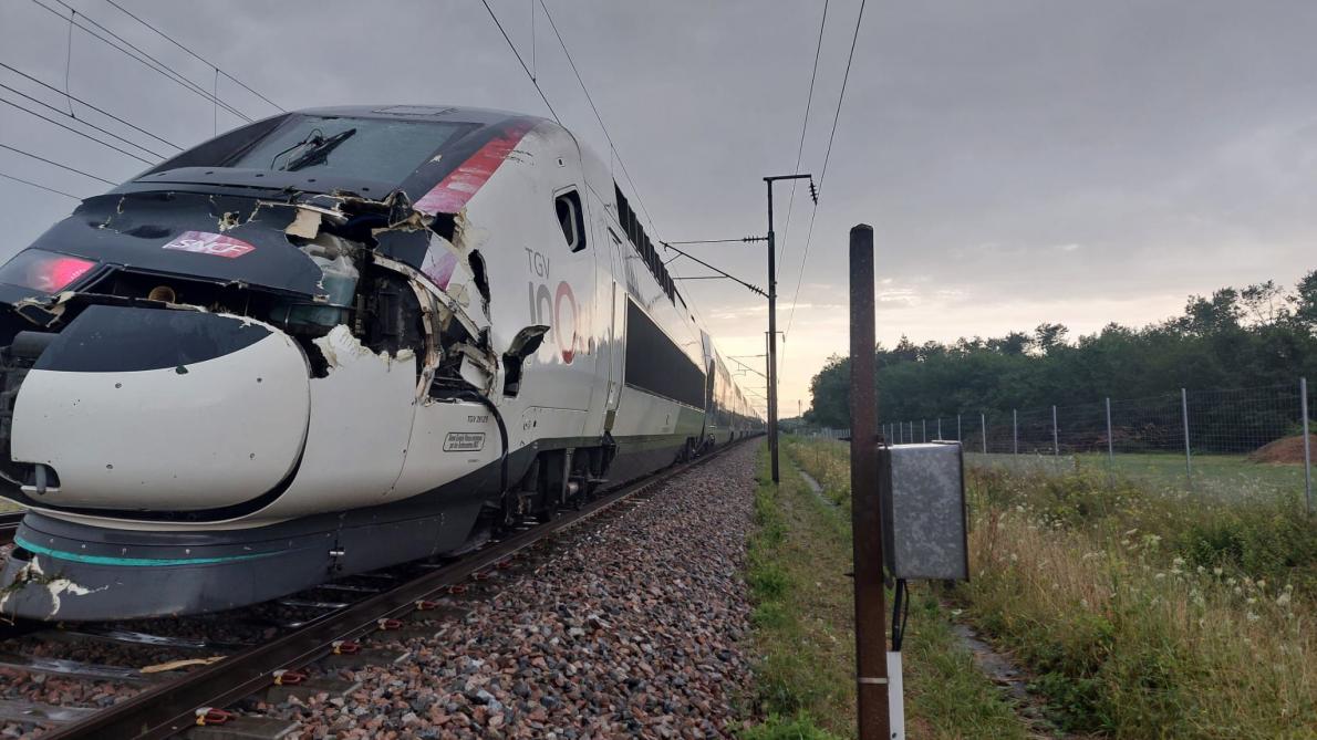 Un train percute un arbre à Saint-Florentin : circulation bloquée sur la ligne TGV Sud-Est